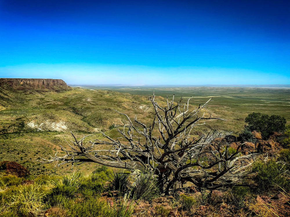 Phantom of the West - Alpine, TexasAlpine, Texas