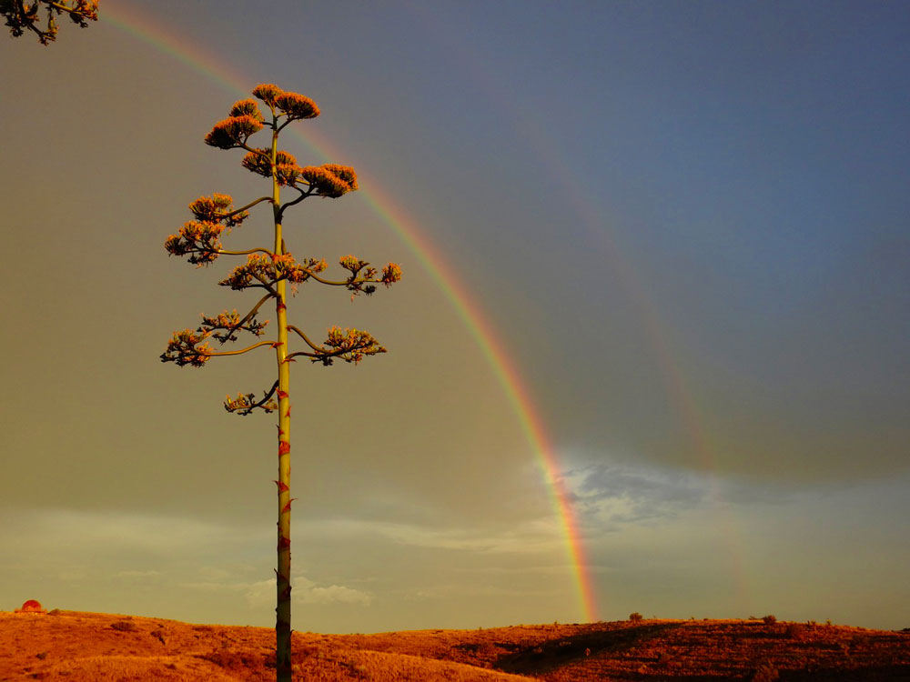A Century of Double Rainbows - Alpine, TexasAlpine, Texas