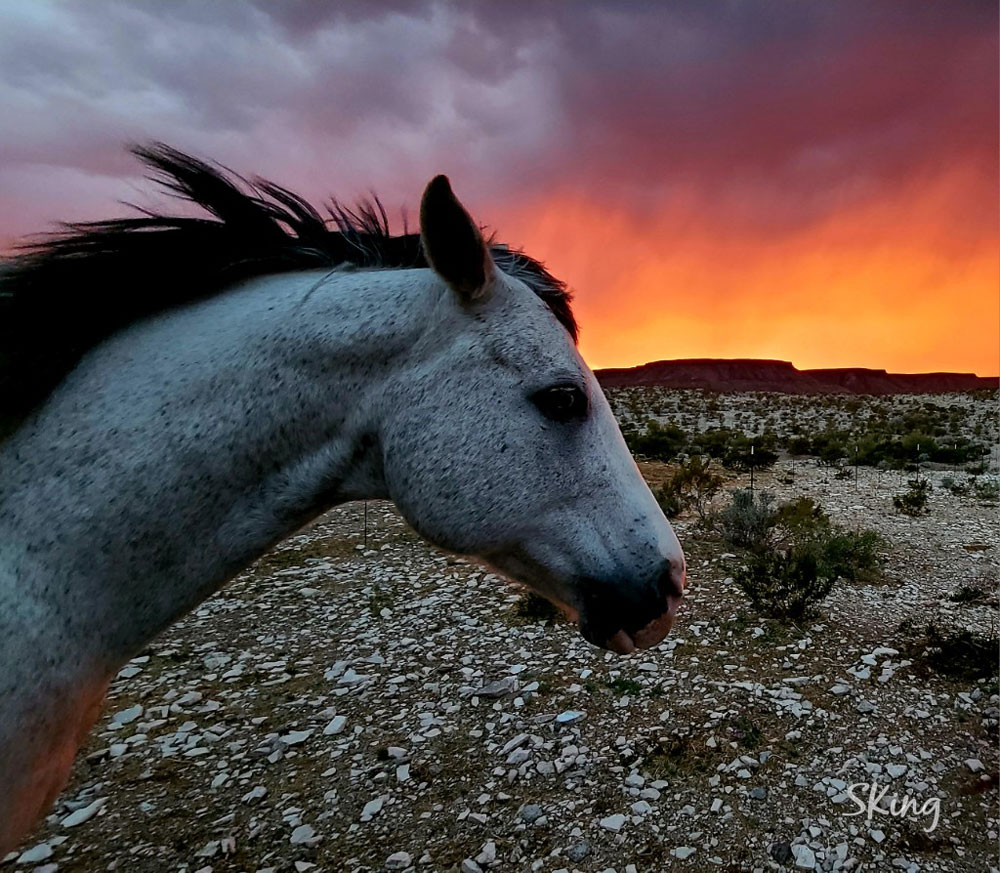 Wildfire - Alpine, TexasAlpine, Texas