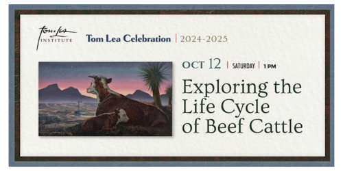 Exploring the Life Cycle of Beef Cattle - Alpine, TexasAlpine, Texas